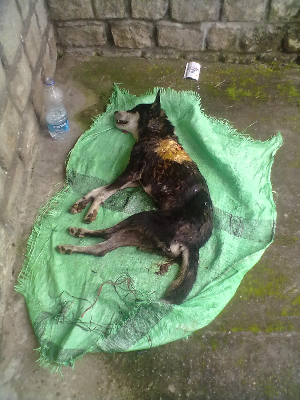 Tshewang Rabgay's Blog: August 2014